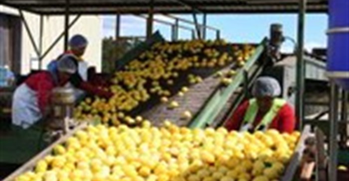 Eastern Cape expects 2011 citrus boom