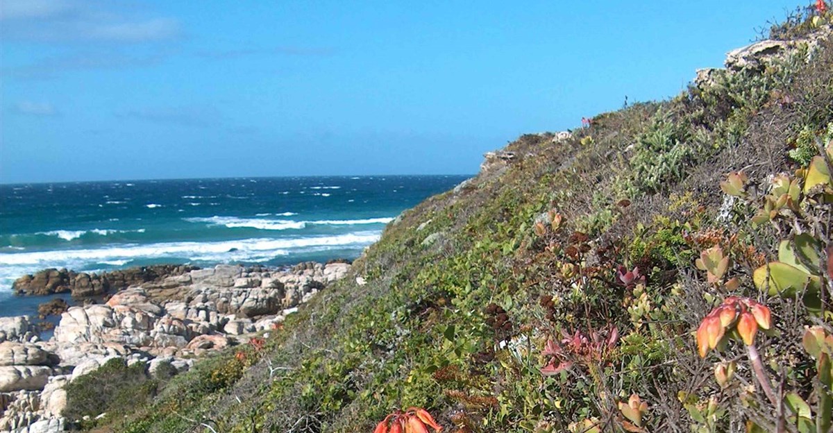 Bioregional plan a milestone towards sustainable development