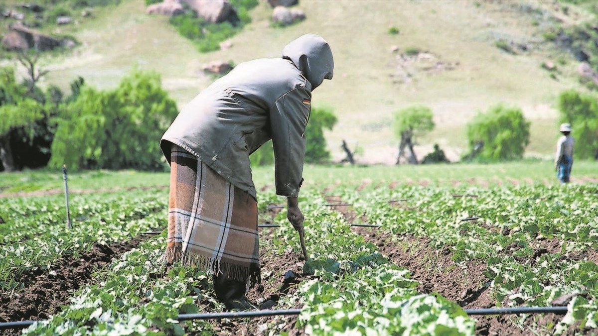 Can Agri-parks be the ‘silver bullet' for small farmer and rural ...
