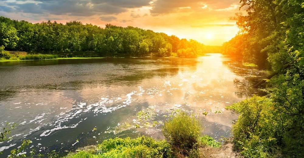 CSIR contributes to landmark climate report