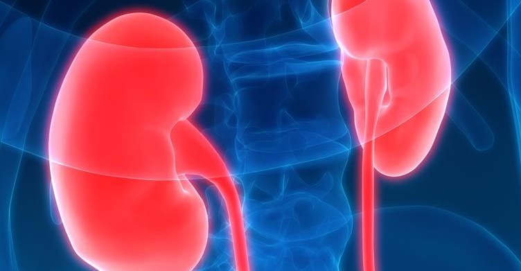 Anti-rejection drugs increase skin cancer risk in multiple kidney ...