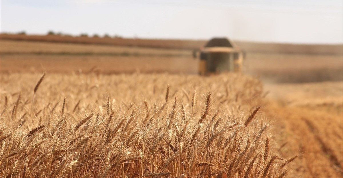 AFGRI creates grain storage platform to strengthen food security