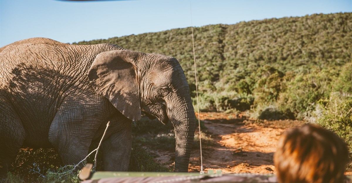 Unplug and retreat to nature this holiday season
