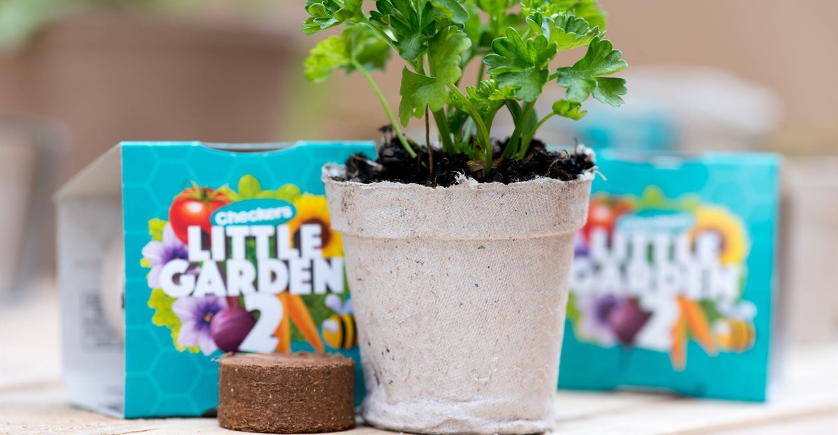 Checkers Little Garden is back, with locally-made seedling kits
