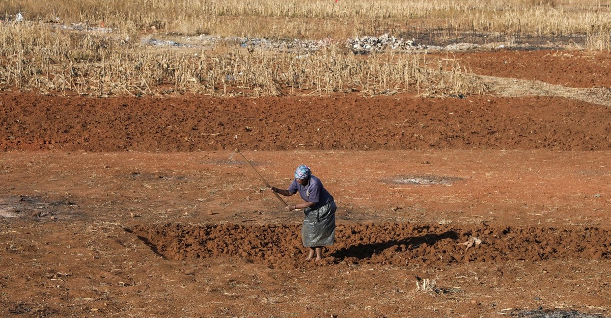 Amendment to allow land expropriation without compensation fails to pass