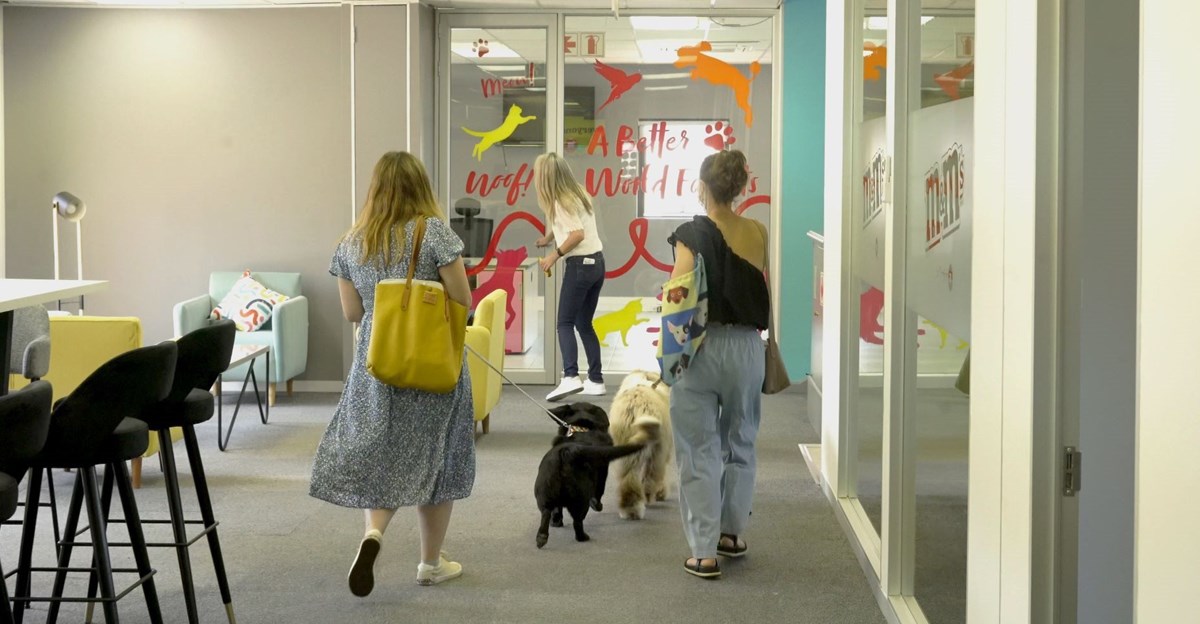 Mars reopens South African HQ with new 'pet office'