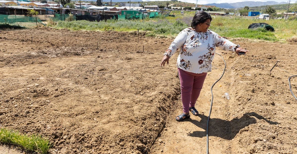 Citrusdal farmers devastated by two years of floods