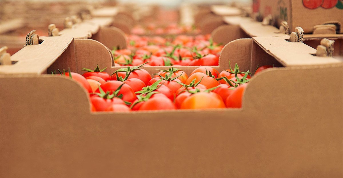 Botswana lifts ban on SA vegetable imports