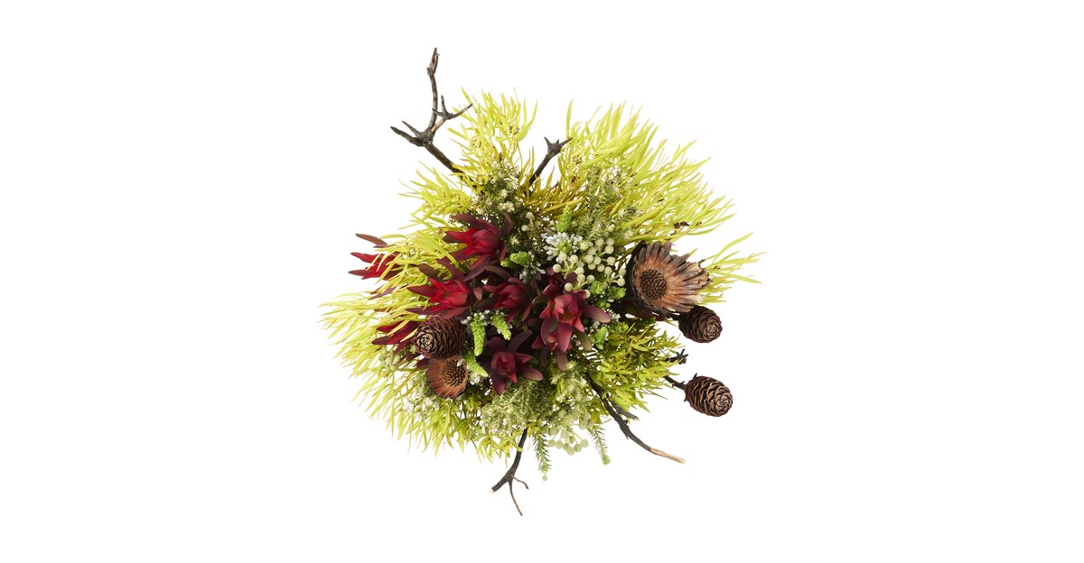 Woolies pays tribute to fynbos' resilience with limited-edition Veld ...